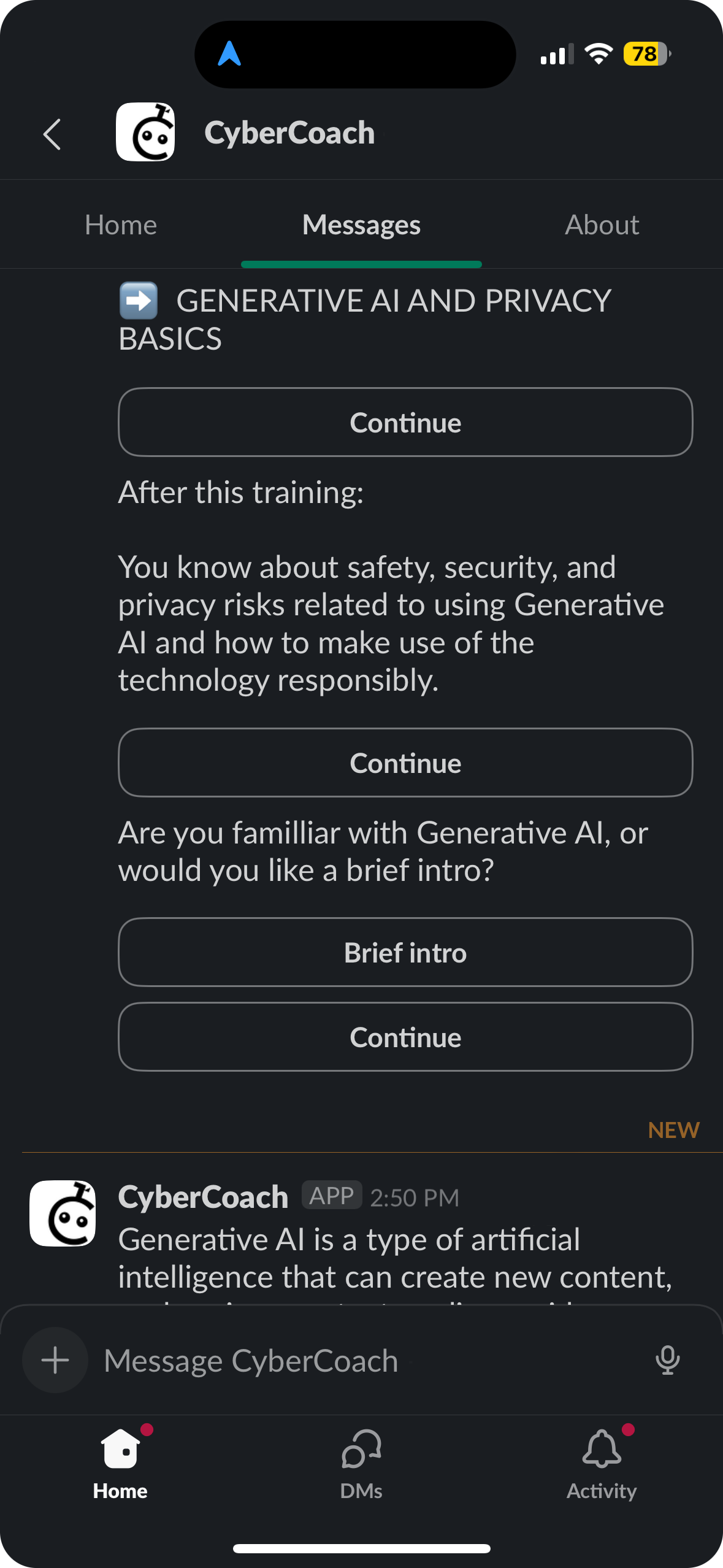 AI Security Training
